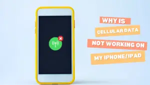 (7 Ways To Fix) Cellular Data Not Working On IPhone/iPad
